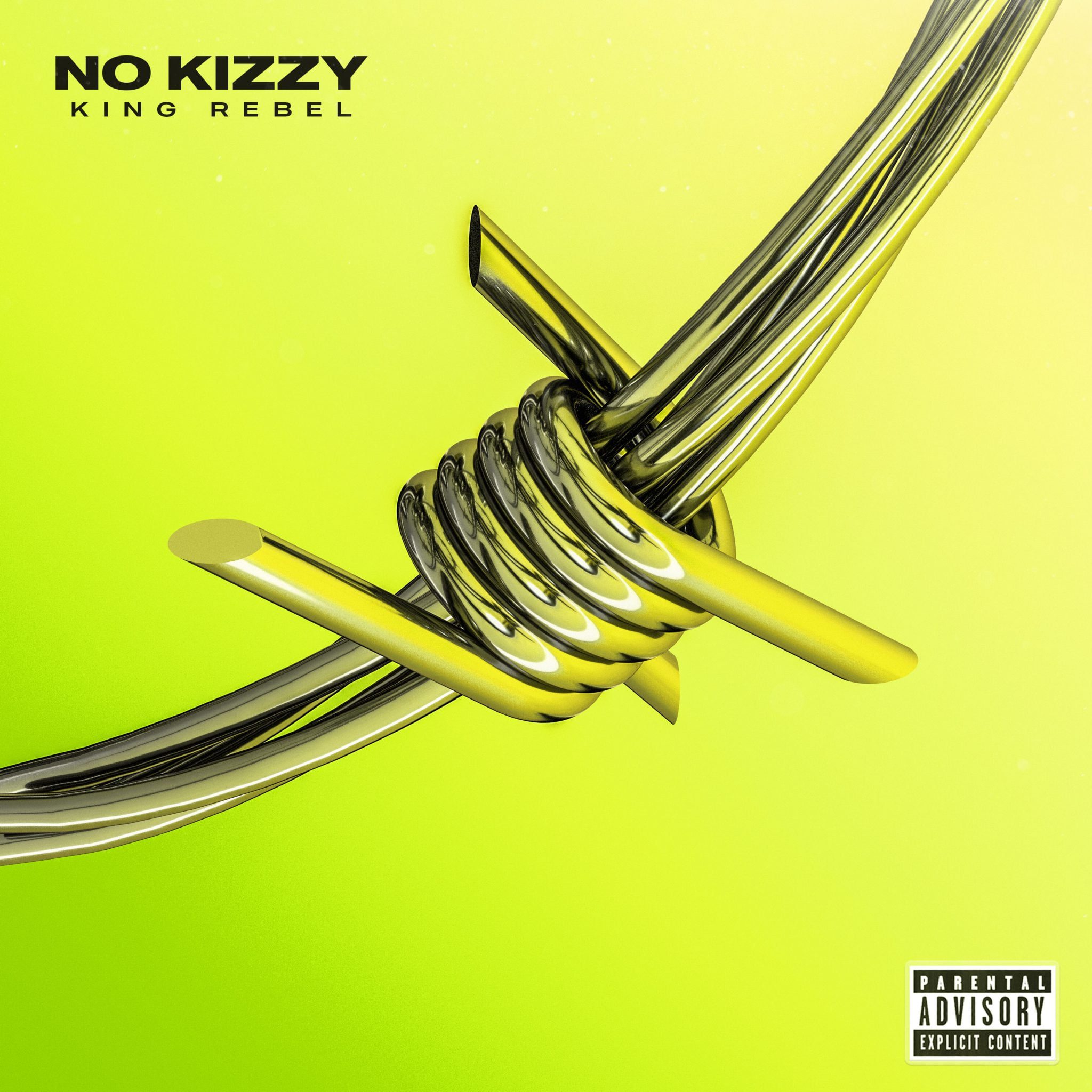 No Kizzy • Cover Art Shop