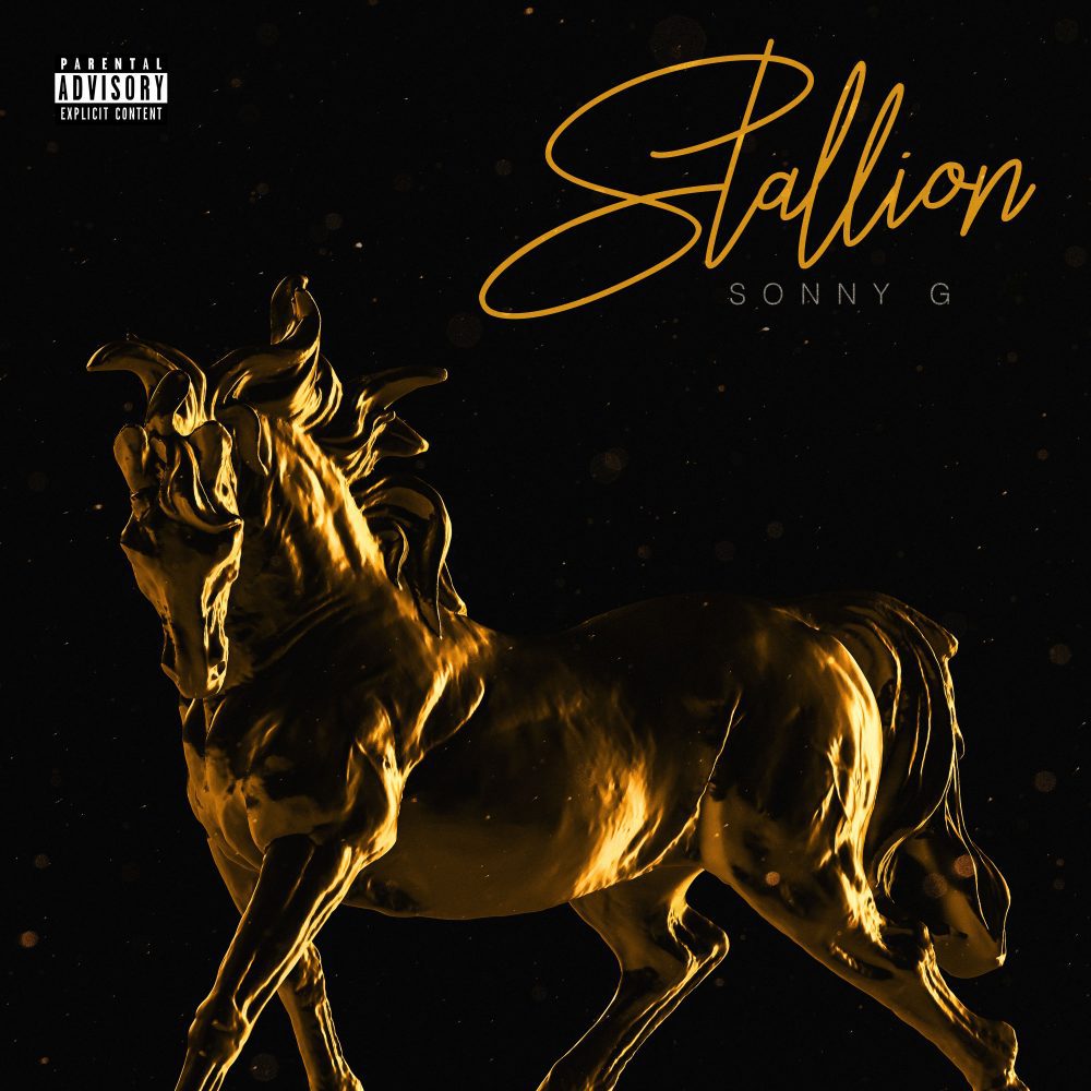 Stallion • Cover Art Shop